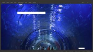 Bing Turns Five - The Evolution of The Search Engine
