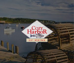 WooCommerce, WordPress and Shopify Design Portfolio