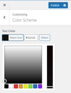 How to Develop a Customizable WordPress Theme